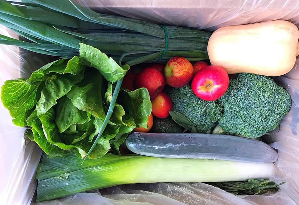 SEASONAL MIXED BOX | Wheatbelt Fresh Produce